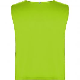 Chasuble dossard training unisexe AJAX VERT FLUO - Chasuble de sport ...